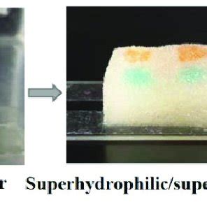 Image result for Coating TiO2 onto Celluolose Sponge