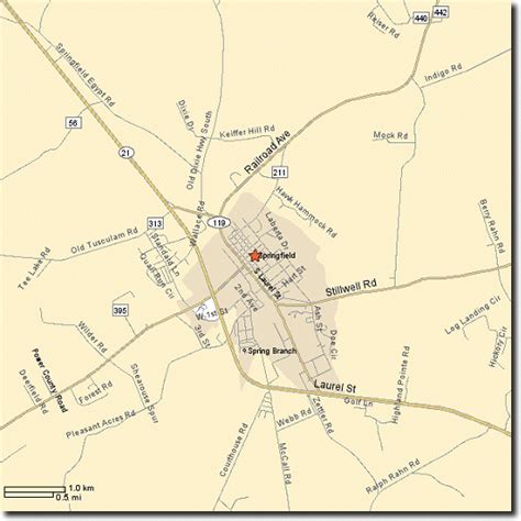 Image result for Springfield Georgia On Map