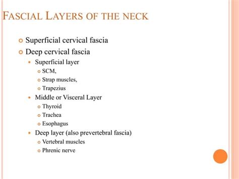 Image result for Types of Neck Dissection