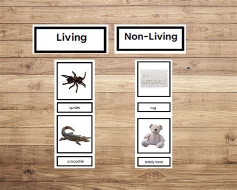 Image result for Classifying Living Things Card Sort