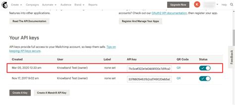 Image result for How to Get MailChimp API Key