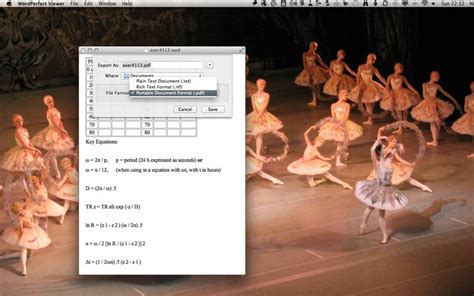 Image result for Open WPD File