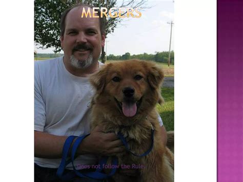 Image result for Sample Composition Slide