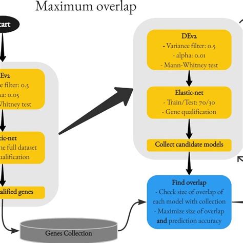 Image result for Sample Overlap