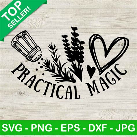 Image result for Practical Magic SVG