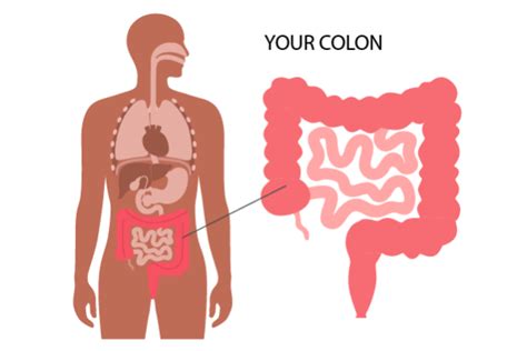 Image result for Normal Bowel Colonoscopy