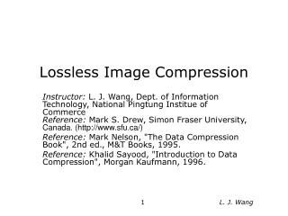 Image result for Lossless Compression Methods in Image Processing PPT
