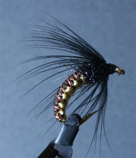 Image result for Polish Nymph Patterns