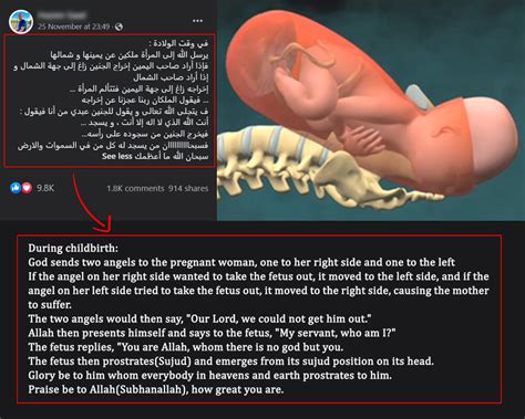 Image result for Childbirth Explained