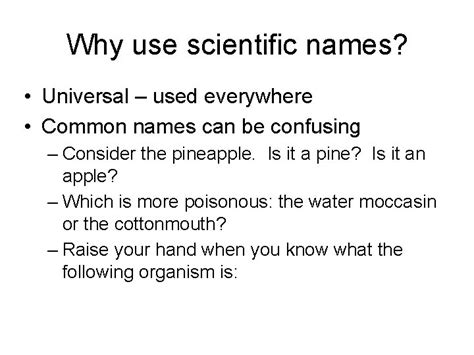 Image result for Why Do Biologists Use Classification