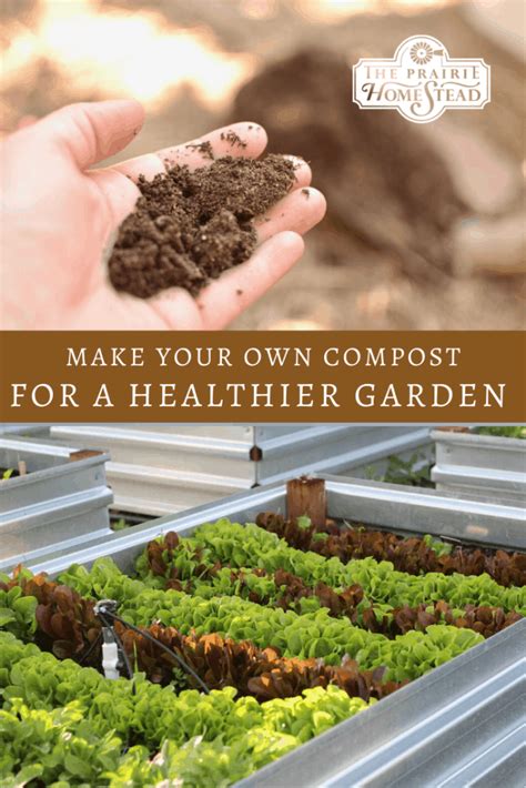 Image result for Using Homemade Garden Compost