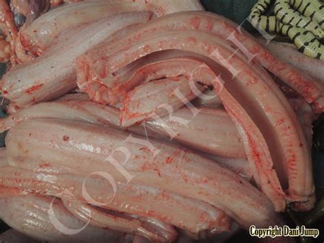 Image result for Python Roast Recipe