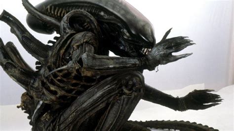 Image result for Alien Suche