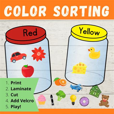 Image result for Color Sorting Activity