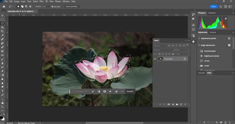 Image result for Adobe Generative Fill