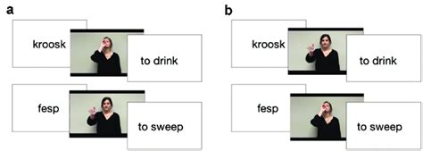 Image result for Word Learning Theory Explained