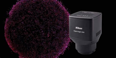 Image result for Nikon Microscope