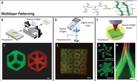 Image result for Multiple Patterning Layers
