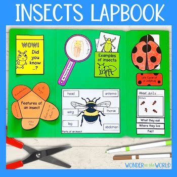 Image result for Project Science Insects Book Cover