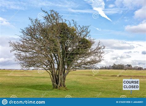 Image result for Golf Course Closed Sign
