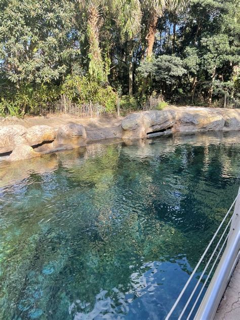 Image result for Turtle Trek