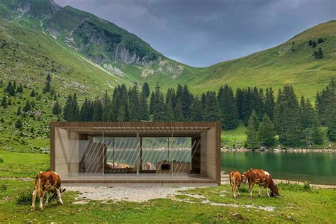 Image result for Macromedia Flash Design Basic Hut