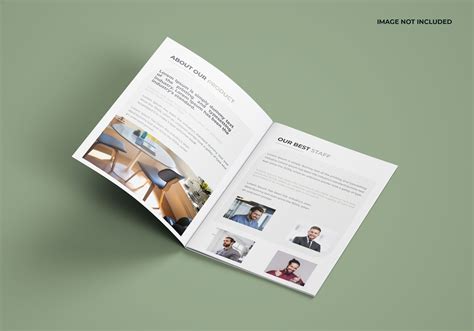 Image result for Brief Design Example for Catalog