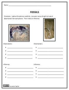 Image result for Science Notes for 3rd Grade