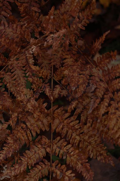 Image result for Grumpy TG Beach deviantART