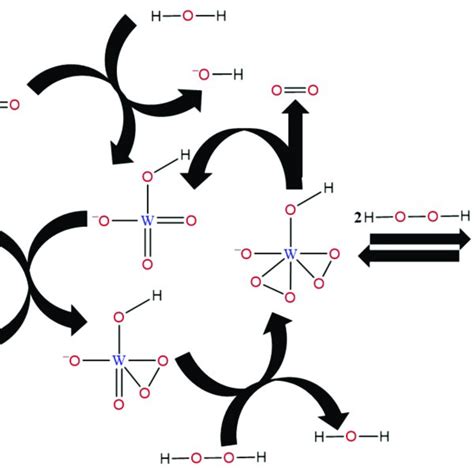 Image result for Decomposition of H2O2 Catalyst