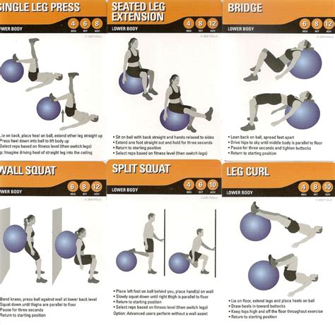 Image result for Exercise Ball Lower Back Exercises