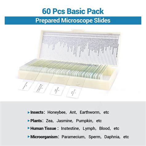 BEBANG 60 Microscope Slides with Specimens for Kids, Prepared ...