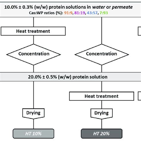 Image result for Making Protien Powder Process