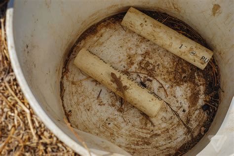 Image result for Lizard Trap Cold Storage