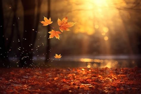 Image result for One Leaf Falling Image