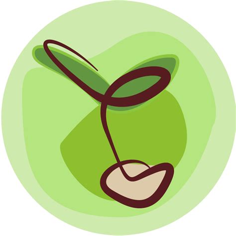 Image result for All Sprouted Code