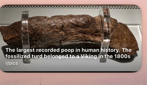 Image result for Widget File Reddit