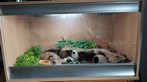 Image result for Gecko OS Config Options