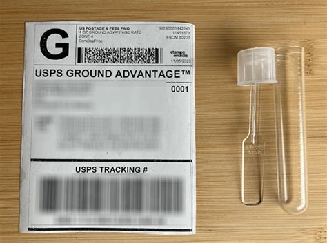 Image result for Pinworm Tape Test Procedure