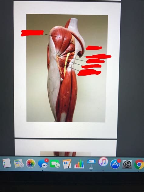 Image result for Practical Theory Lesson 24