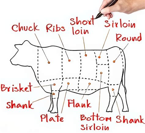 Image result for Beef Chart