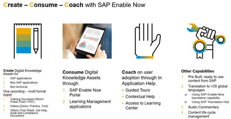 Image result for SAP Enable Now Simulation Buttons