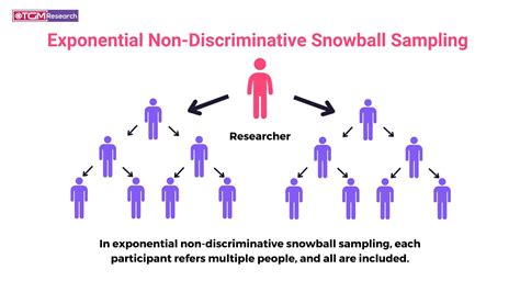 Image result for Snowball Sampling Examples
