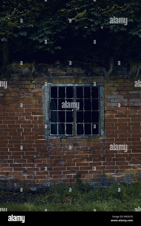 Image result for Broken Window Screen Frame