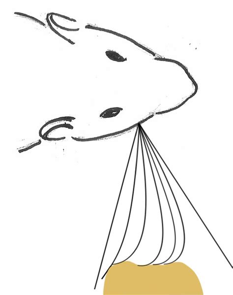 Image result for How to Use Tactile View