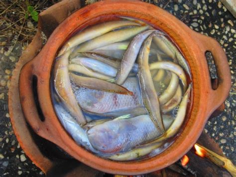 Image result for Boiling Fish