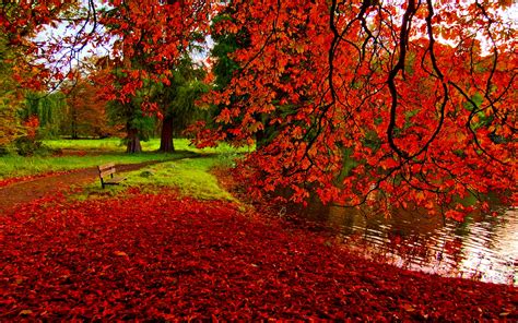 Image result for Fall Scenery Desktop