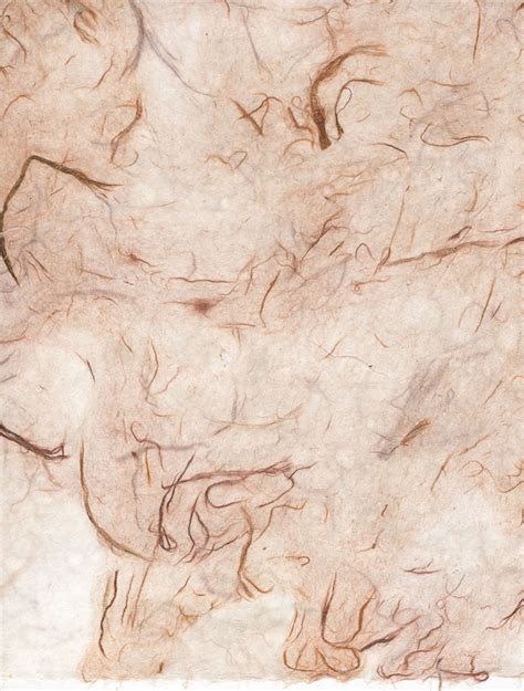 Image result for Translucent Tissue