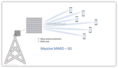 Image result for Fly Mimo