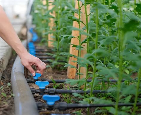 Image result for Pipe Installation Procedure